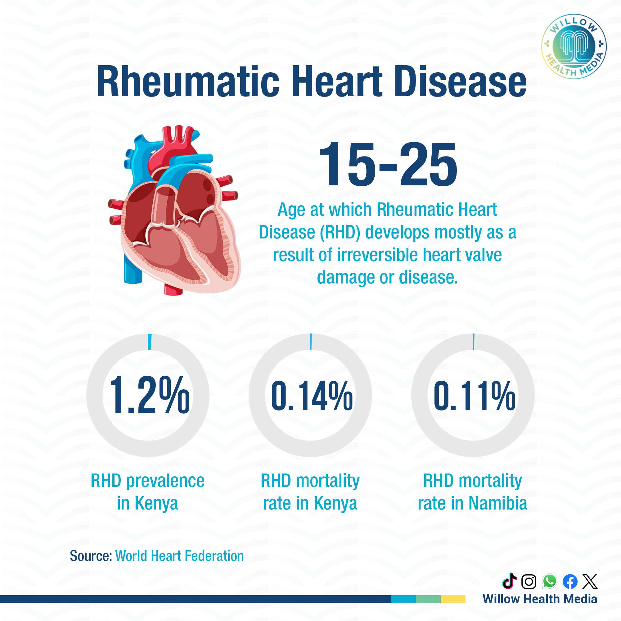 Rheumatic Heart Disease – Willow Health Media