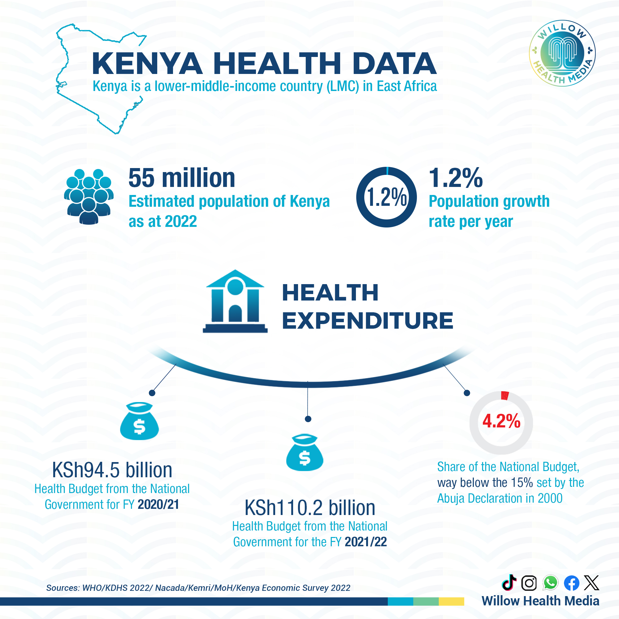 Kenya Health Data – Willow Health Media