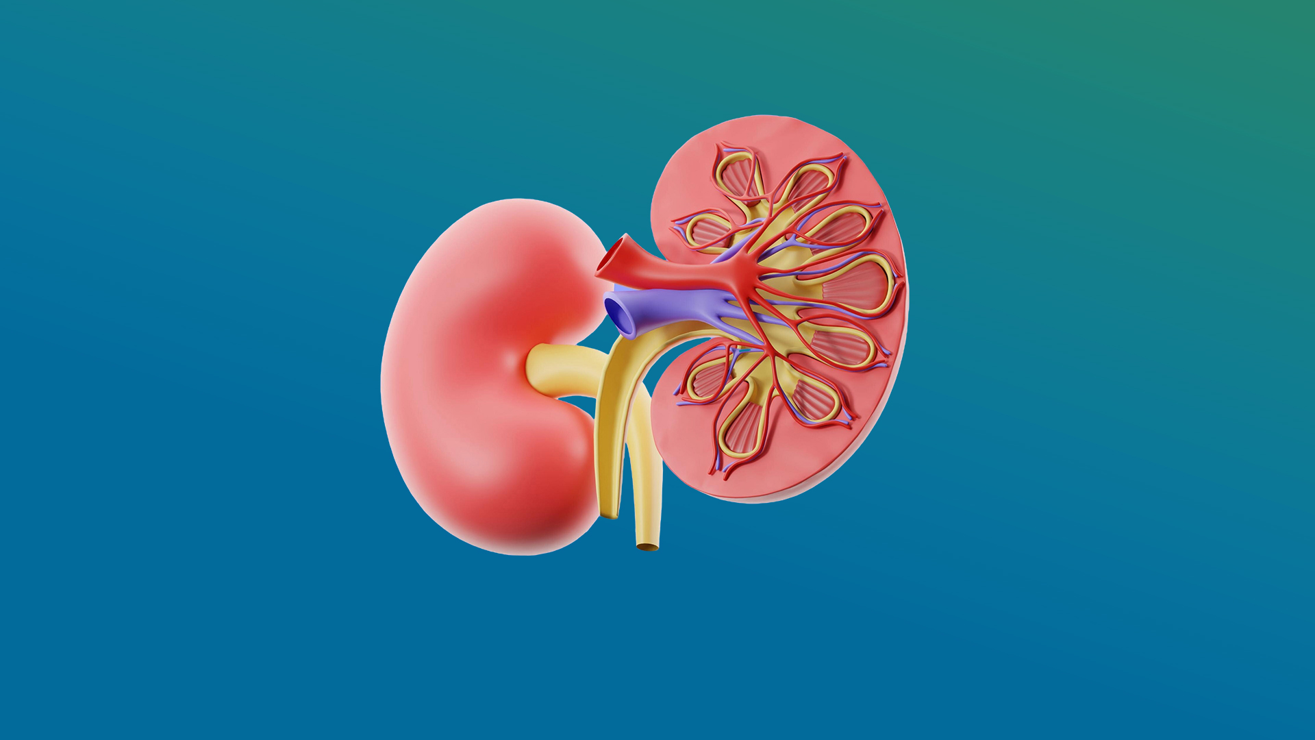 Kidneys on Strike? Here’s how dialysis saves the day – Willow Health Media