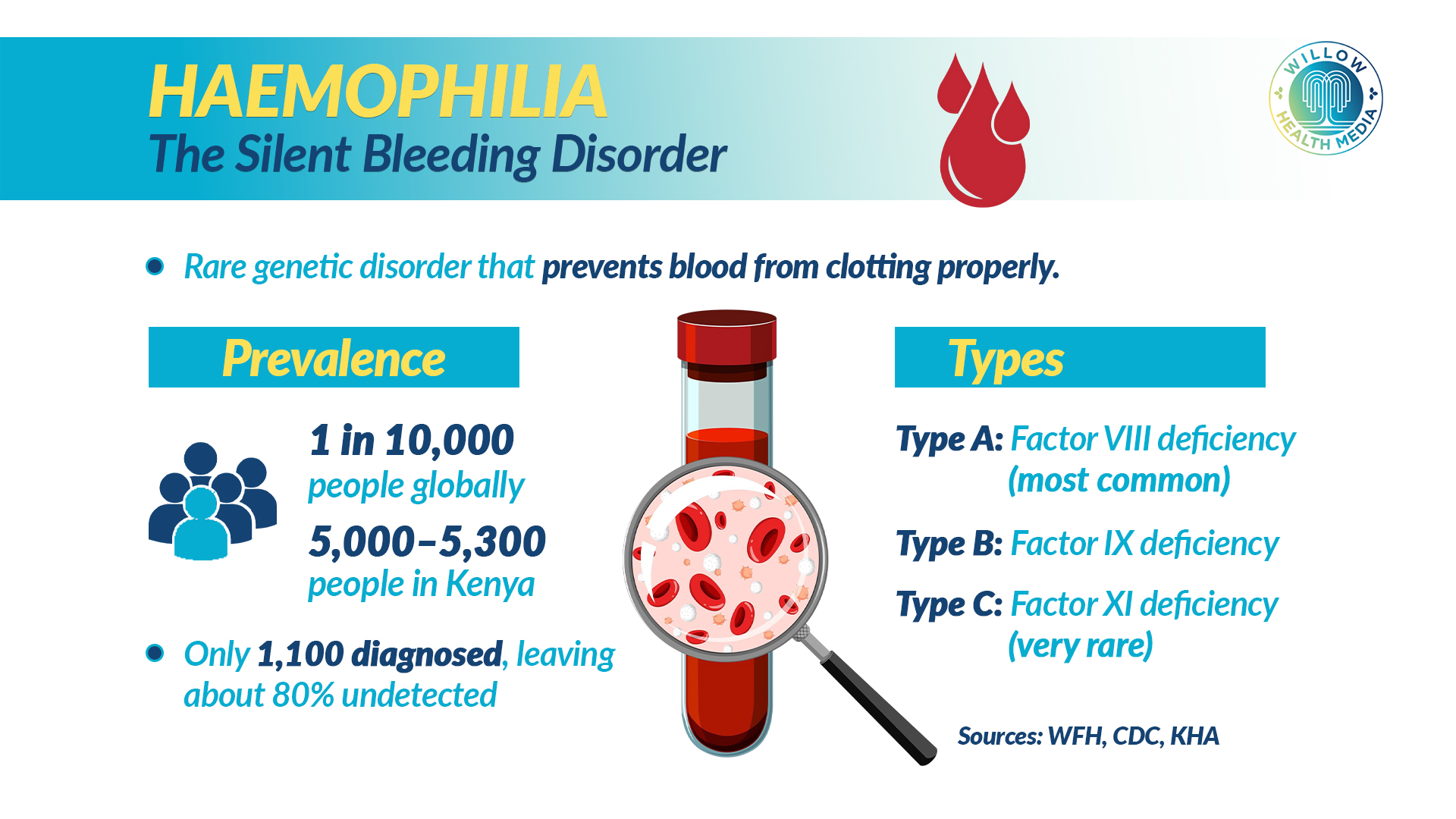 Haemophilia: The silent bleeding disorder – Willow Health Media