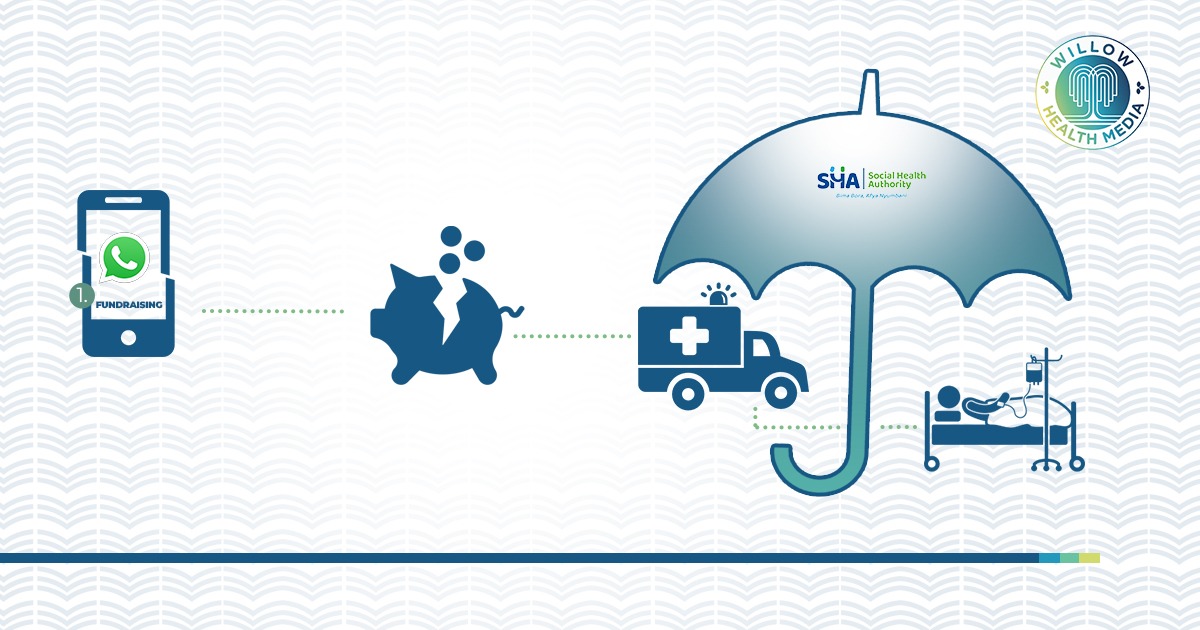 Willow Health Media – Empowering Health Through Knowledge.